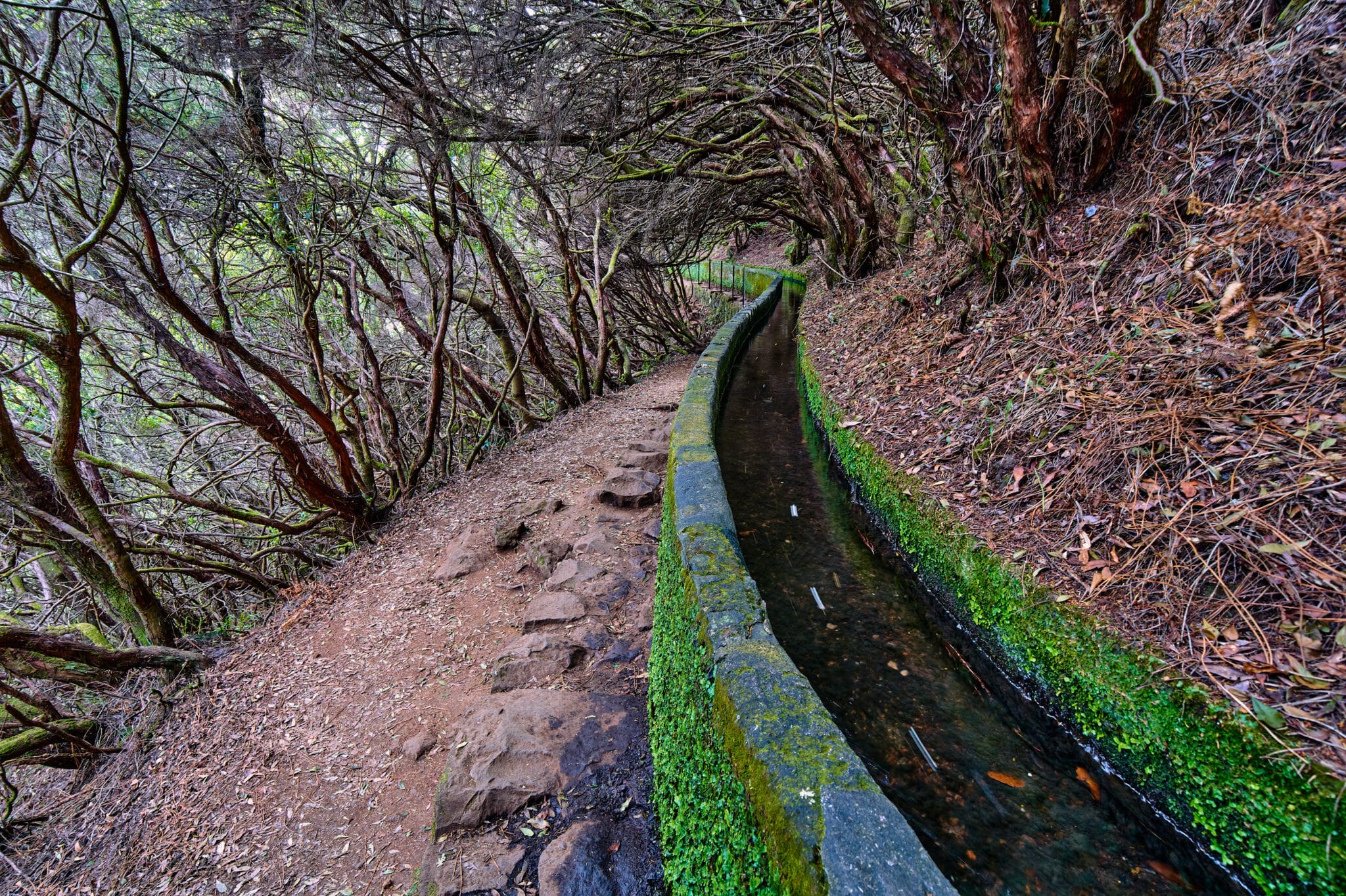 Explorer Madère au fil des levada sur les pas des levadeiros